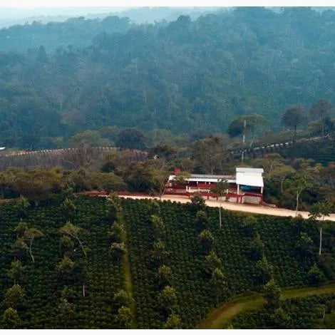 Huatusco Starter Culture. Café de Mexico. – Kima Coffee